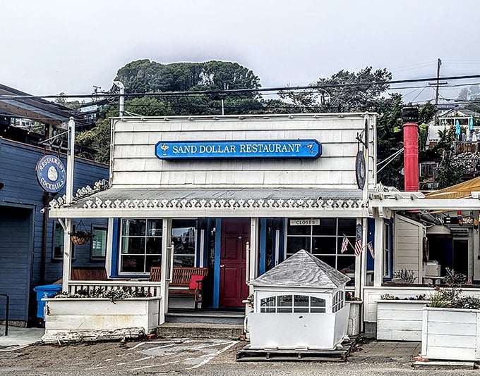 The Sand Dollar Restaurant isn't just a place to eat—it's a local institution where seafood arrives with a pedigree and stories are served complimentary.