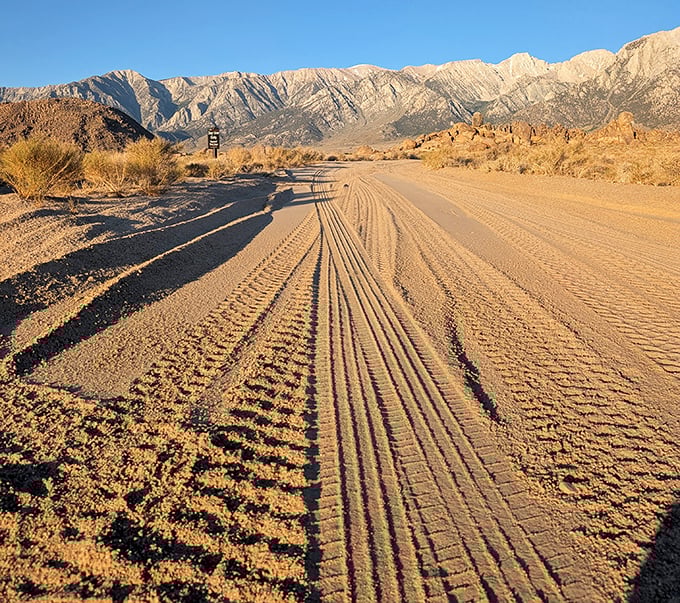 Tire tracks telling stories across the desert floor—each one a different adventure heading toward those magnificent mountains.