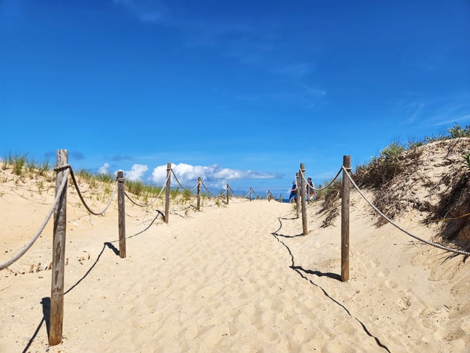 Nature's perfect walkway, framed by dune grasses and possibility. The anticipation builds with every step toward that endless blue horizon.