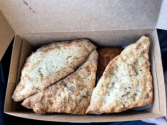 Scones that look like they could make a British grandmother weep with joy—craggy, substantial, and promising that perfect crumbly-yet-tender bite.
