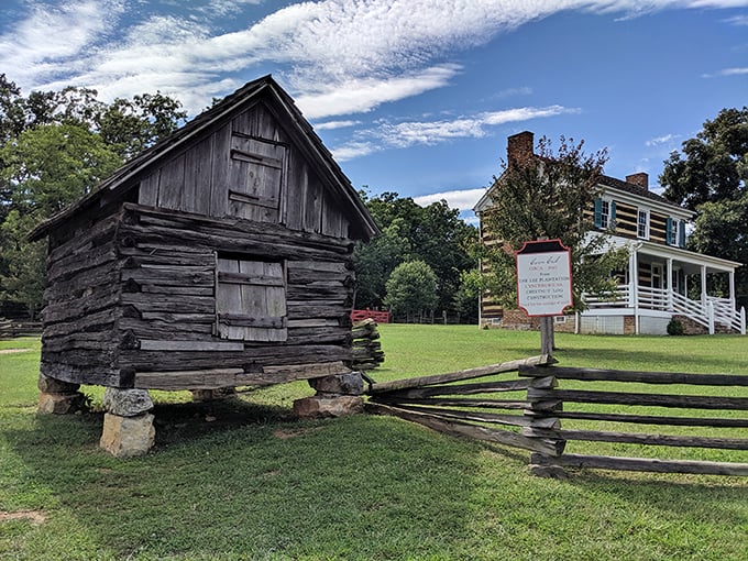 Shenandoah Heritage Village whispers stories of Virginia's past through weathered logs and split-rail fences—history you can touch without setting off alarms.