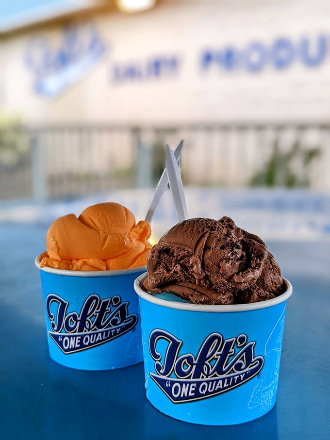 Two perfect scoops in signature blue cups—one chocolate, one orange—sitting like old friends catching up on a summer afternoon.