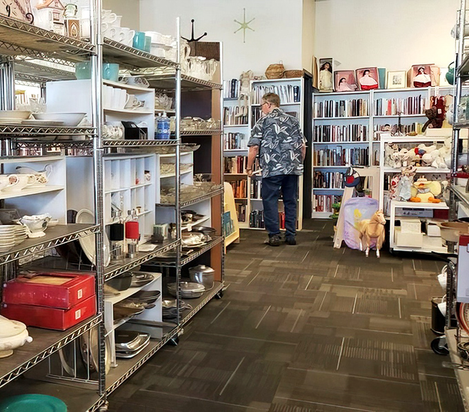 Treasure hunting between housewares and books—the thrill of the find is what keeps dedicated thrifters coming back.