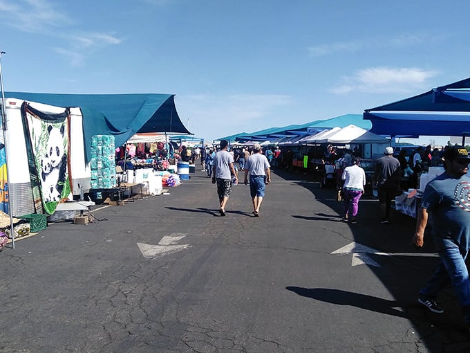 The market's wide aisles become social thoroughfares where strangers bond over shared discoveries and the universal language of bargain hunting.
