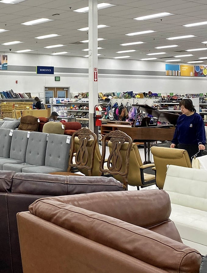 The furniture section offers everything from "grandma chic" to "first apartment essential" – all priced for real-world budgets.