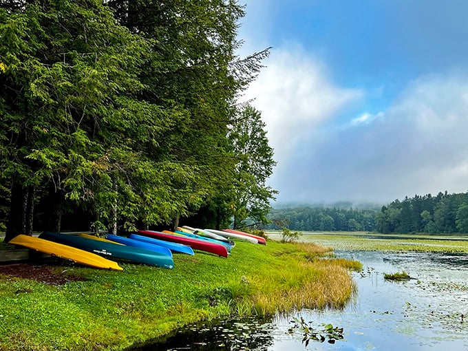 A rainbow armada awaits adventure. These kayaks aren't just boats—they're tickets to Pennsylvania's most colorful water expedition. 