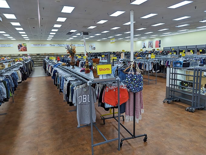 5. short area