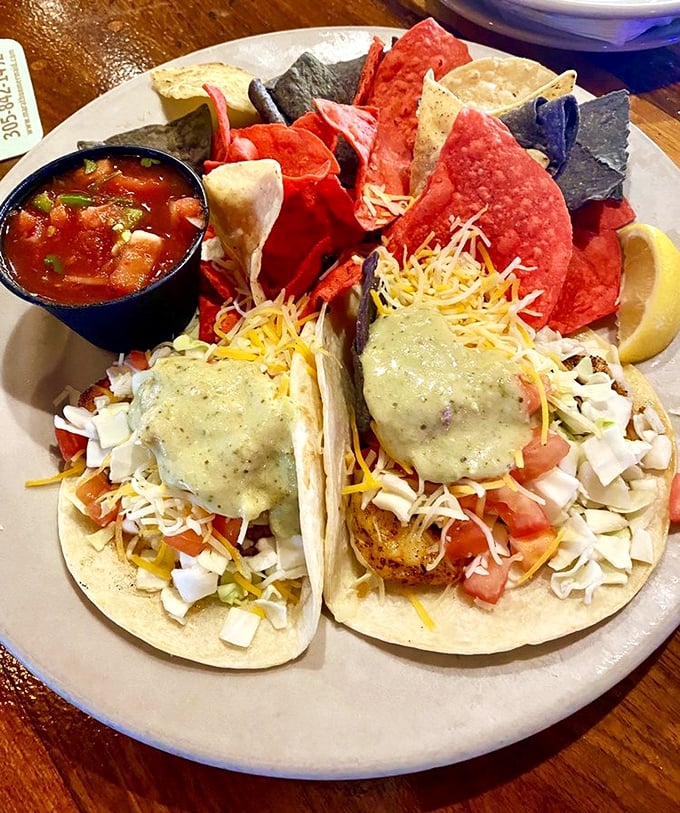 Fish tacos that make you question every taco you've eaten before. That sauce isn't just drizzled—it's applied with artistic precision.