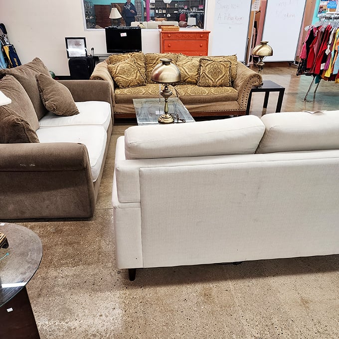The furniture section could furnish an entire sitcom set—from "Friends"-worthy sofas to accent pieces that scream "distinguished homeowner with excellent taste."