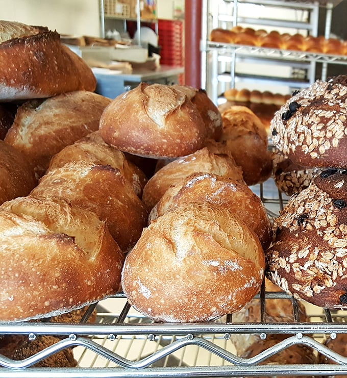Bread that makes you question every other loaf you've ever eaten. Those golden crusts with their perfect shine could make a French baker weep with joy.