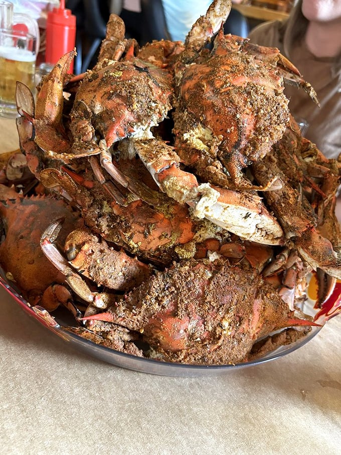 Seafood doesn't get more gloriously messy than this mountain of seasoned steamed crabs. Your hands will smell like Old Bay for days—and you'll love it.