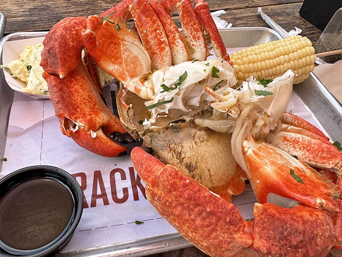 This isn't just a lobster—it's a crustacean celebration complete with corn on the cob, the kind of meal that demands a bib and zero dignity.