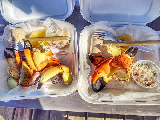 Stone crab claws—Florida's answer to lobster. Nature's perfect design: sweet meat protected in a hard shell, served with the simplicity these treasures deserve.