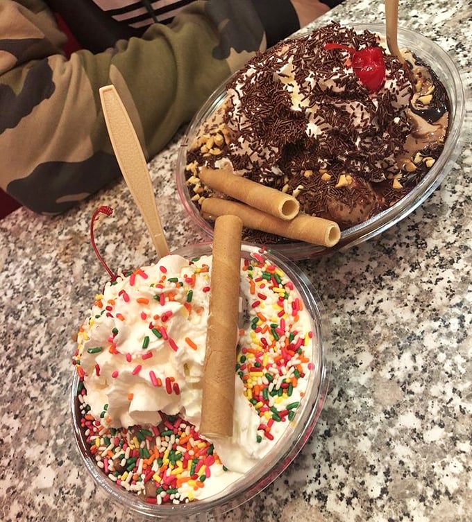 Two sundaes that don't just satisfy cravings – they throw a party for your palate. The wafer sticks stand like flagpoles marking conquered territory.