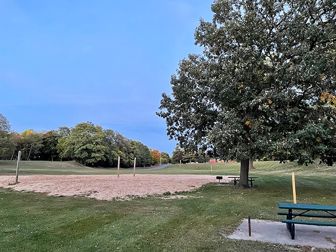 This park doesn't need fancy equipment to be perfect—just open space, mature trees, and that Midwest sky that seems bigger somehow.