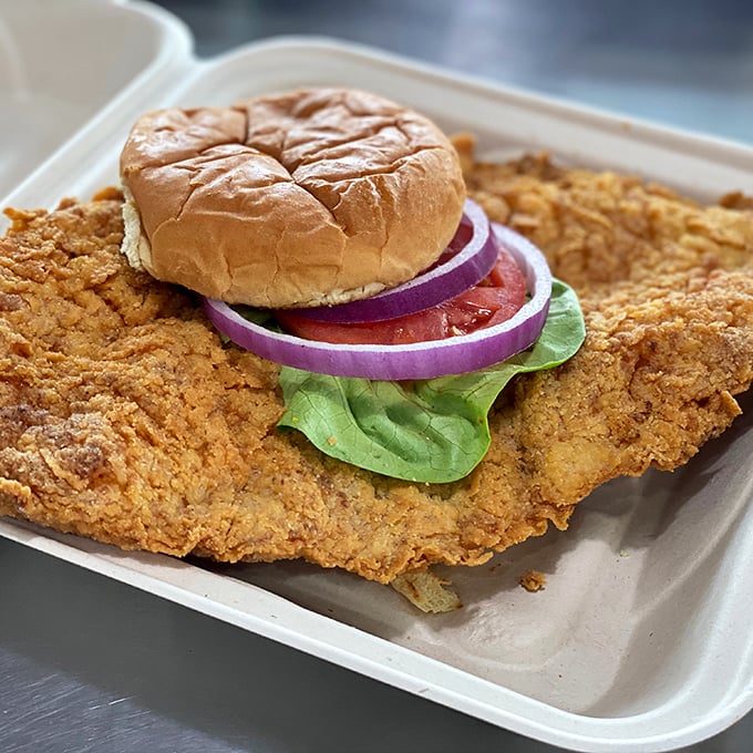 Indiana's iconic pork tenderloin sandwich in its natural habitat—extending well beyond the boundaries of both the bun and reasonable portion sizes. Magnificent.