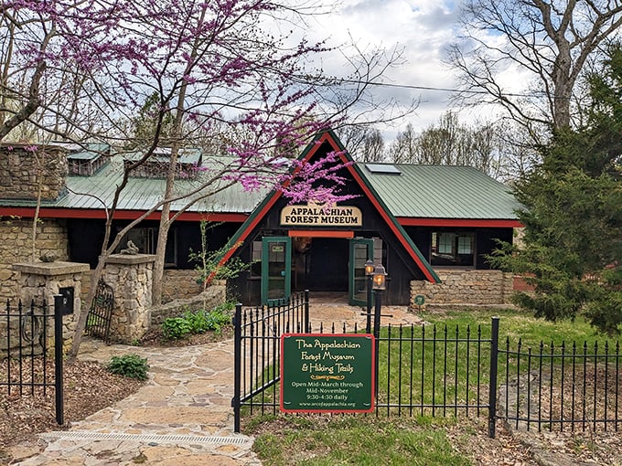 The Appalachian Forest Museum – where architecture and nature have been having a friendly competition for decades, and everyone's winning.