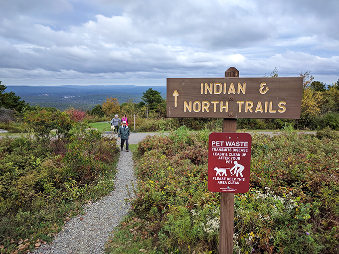 "Indian & North Trails" isn't just a sign—it's your invitation to adventure. Those distant mountains are practically begging to be photographed.