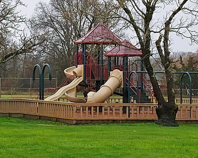 The local playground waits patiently for weekend warriors under four feet tall – jungle gym diplomacy at its finest.