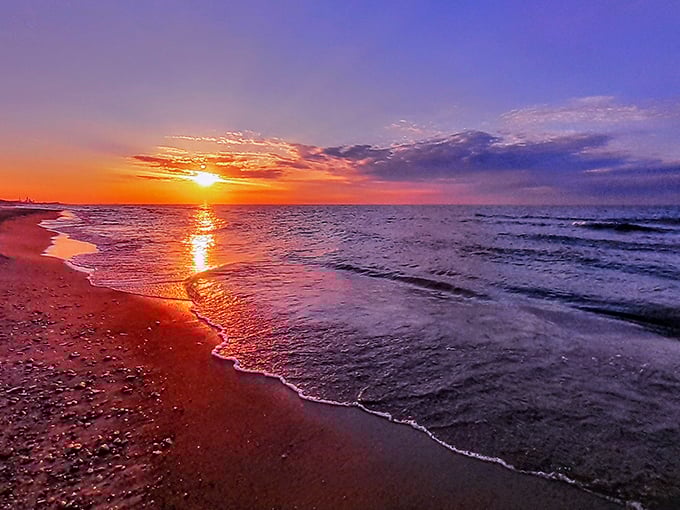 Mother Nature showing off her painting skills at sunset—turning Lake Michigan into liquid gold that even Midas would envy.