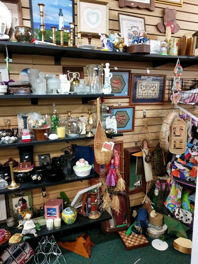 Collectors, tread carefully: one glance at these shelves and you’ll be leaving with a brass candlestick, a lighthouse print, and a ceramic cat you never knew you needed.