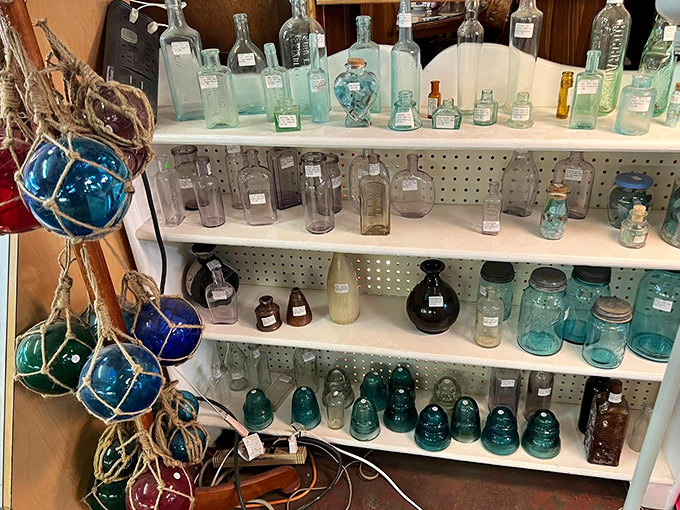 These aren't just bottles—they're liquid history in glass form, each one whispering tales of patent medicines and prohibition-era concoctions.