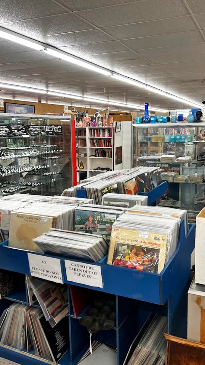 Vinyl heaven awaits the patient digger. Each crate holds potential gold—just ask the guy who found a mint Fleetwood Mac album last week and hasn't stopped smiling since.