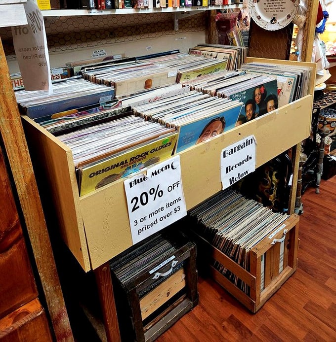 Vinyl heaven awaits with that distinctive 20% off deal. Each record sleeve is a time machine, ready to transport you back to your first concert or heartbreak.