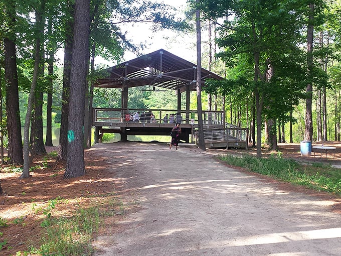 A peaceful pavilion nestled among pines offers the perfect spot for contemplation – nature's conference room, no reservation required.
