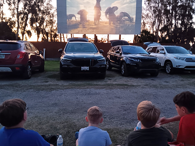 Kids sitting front-row on the grass—the original floor seating. No reclining theater chairs can match this authentic outdoor movie magic.