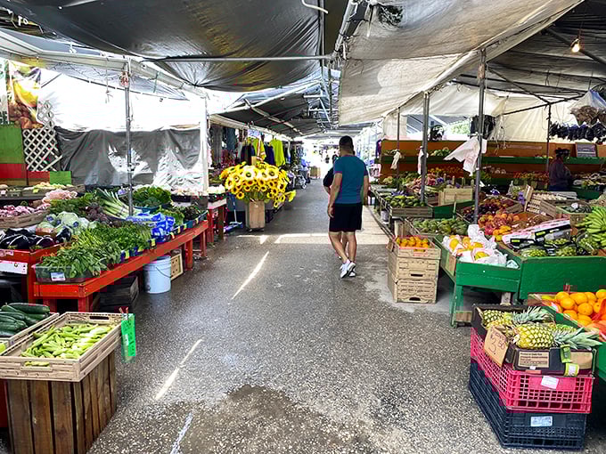 The produce section bursts with vibrant colors that would make any Instagram filter jealous—proof that not all Florida treasures are antiques.