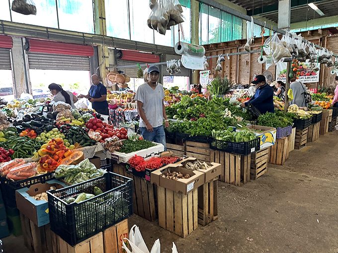 Where cultures and cuisines collide in the most delicious way possible – this farmers market feels like a United Nations of fresh food.