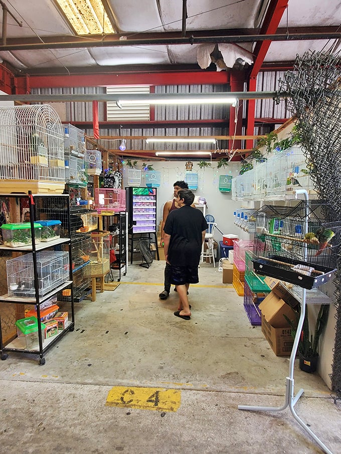 Bird cages and pet supplies line this specialized vendor's stall, proving that even Polly wants a bargain when it comes to her crackers and perches.