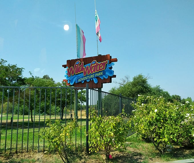 Wild Water Adventure Park offers retirees a chance to feel young again—or at least watch their grandkids cannonball while they enjoy shade.
