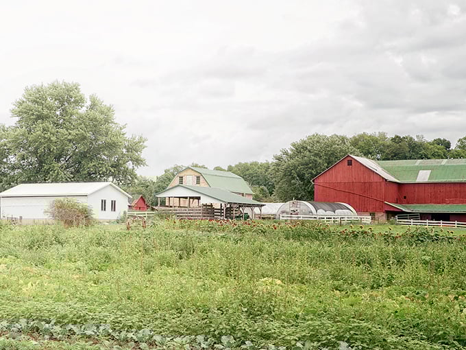The original farm-to-table wasn't a restaurant concept but an actual farm. Where vegetables don't need Instagram filters to look appealing. 