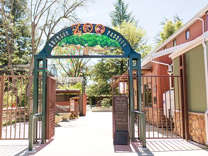 The Charles Paddock Zoo entrance promises wild encounters on a human scale – no fighting through tourist herds to see the actual herds.