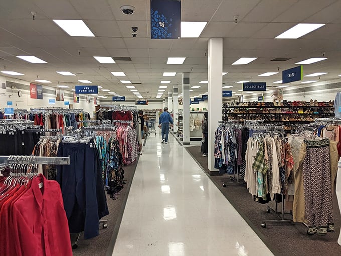 The clothing forest stretches to the horizon. Like a department store where everything has a story and the price tags won't make you wince.