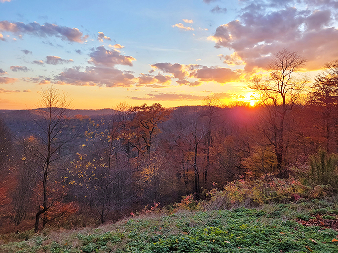 Fall foliage creates a colorful curtain before the evening's stellar performance. Even the daytime views at Cherry Springs compete for your attention.