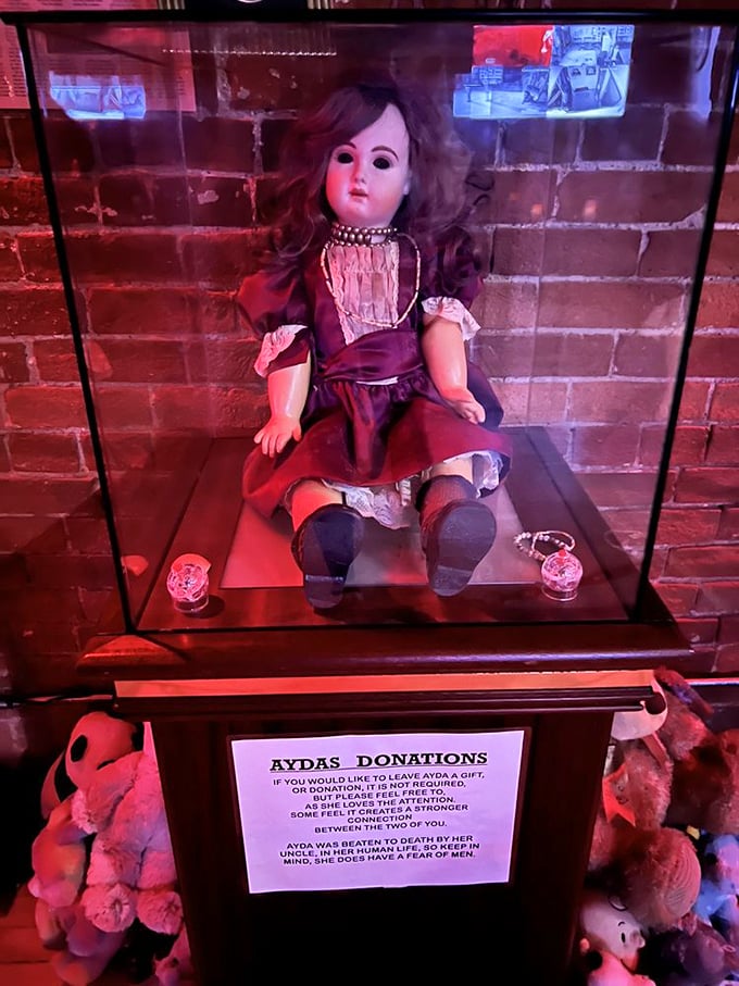 Meet Ayda, the museum's porcelain prima donna of the paranormal. Those eyes don't just follow you—they practically take notes.