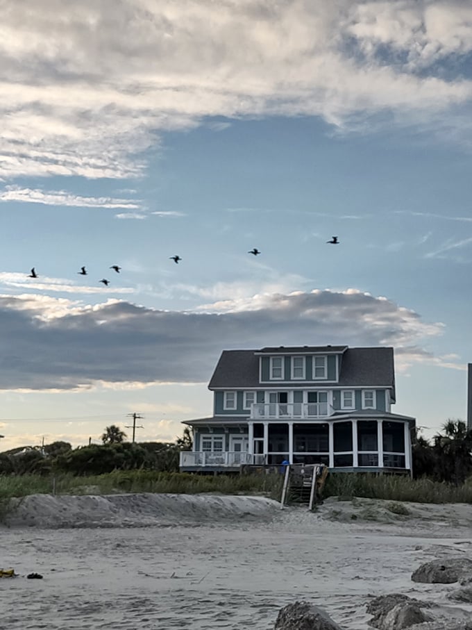 Beach house bliss with a side of pelican formation – Mother Nature's perfect flyover doesn't require a ticket purchase.