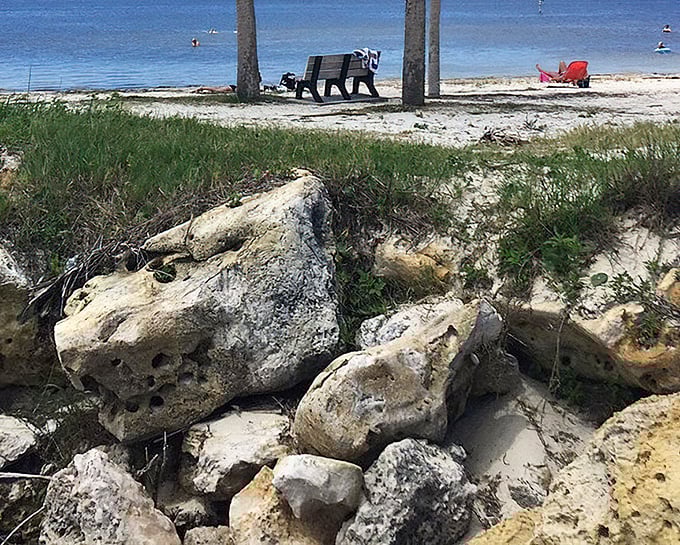 Where limestone meets shoreline. These natural sculptures have been perfecting their look for thousands of years – talk about commitment to aesthetics.