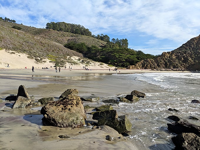 A beach that demands to be experienced, not just visited. Pfeiffer's vast shoreline makes even a busy day feel wonderfully uncrowded.