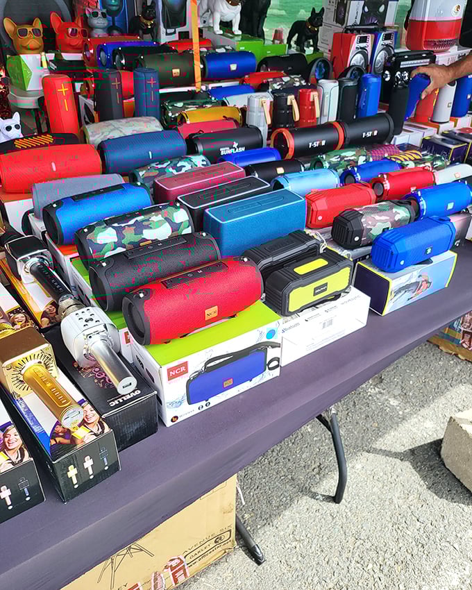 Bluetooth speakers in every color of the rainbow—because nothing says "I'm cool for my age" like blasting your playlist at the beach.