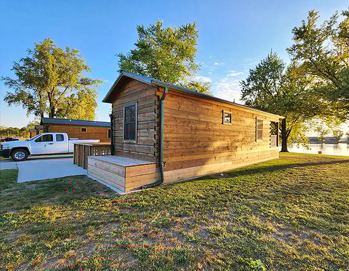 Rustic luxury awaits in these lakeside cabins, where modern comforts meet wilderness charm. No alarm clock needed—the birds handle wake-up calls.