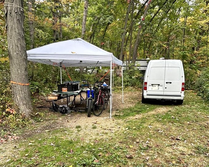 The ultimate tailgating setup for nature enthusiasts. Who needs stadium parking when you've got this leafy retreat? 