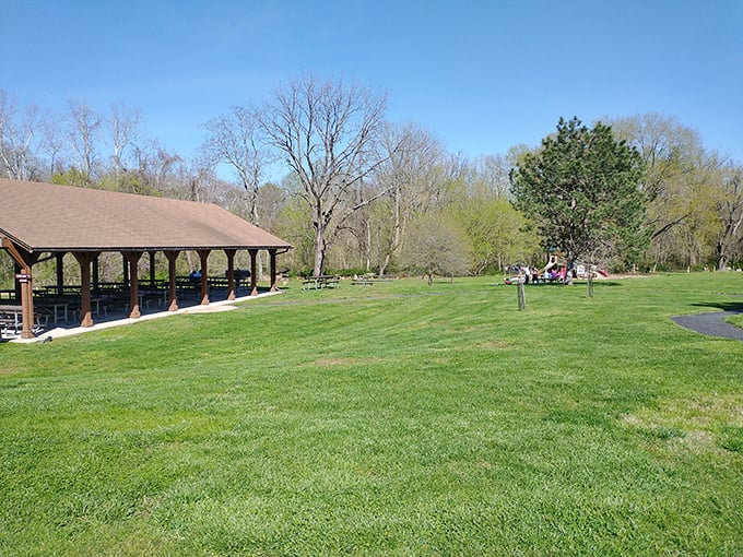 Early spring at the park pavilion—where "roughing it" means forgetting to bring the good napkins. Civilization meets wilderness in perfect harmony.