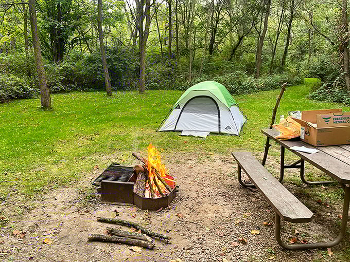 Camping here isn't just sleeping outdoors—it's front-row tickets to the greatest show on earth: unplugged wilderness.