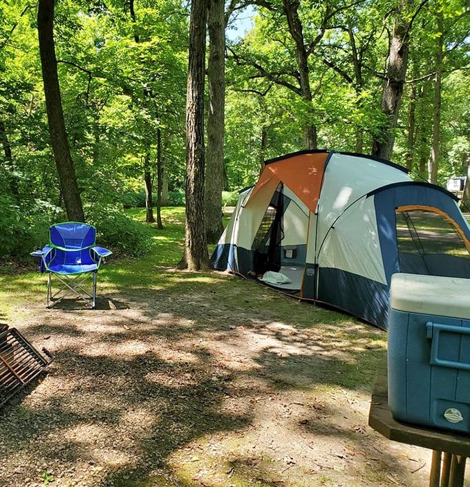 Camping as it should be—where your morning coffee comes with a side of birdsong and your evening s'mores taste better under ancient oaks.