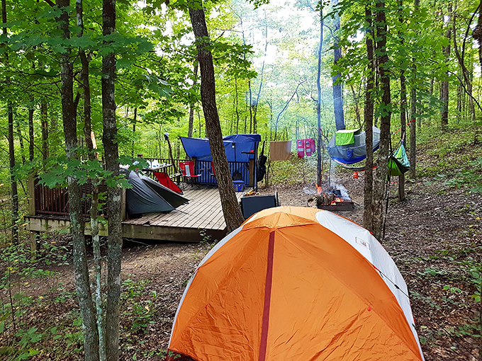 Camping among the trees – where the lullaby of distant rushing water replaces your usual nighttime podcast playlist.