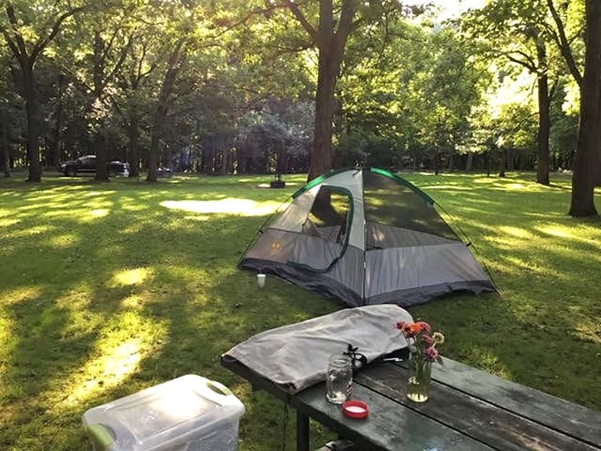 Camping here means your bedroom ceiling is made of stars and your alarm clock chirps. 